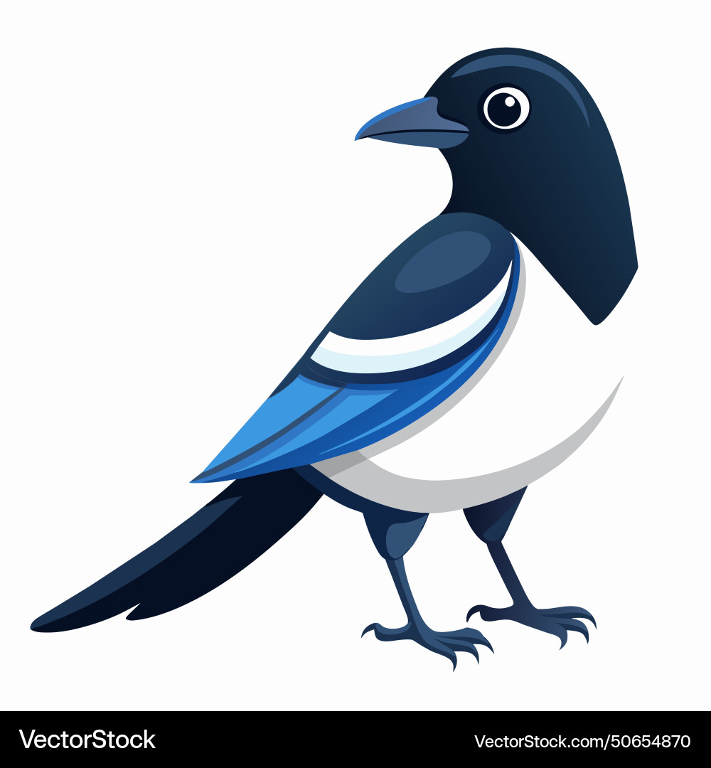 Cute magpie on a clean background Royalty Free Vector Image