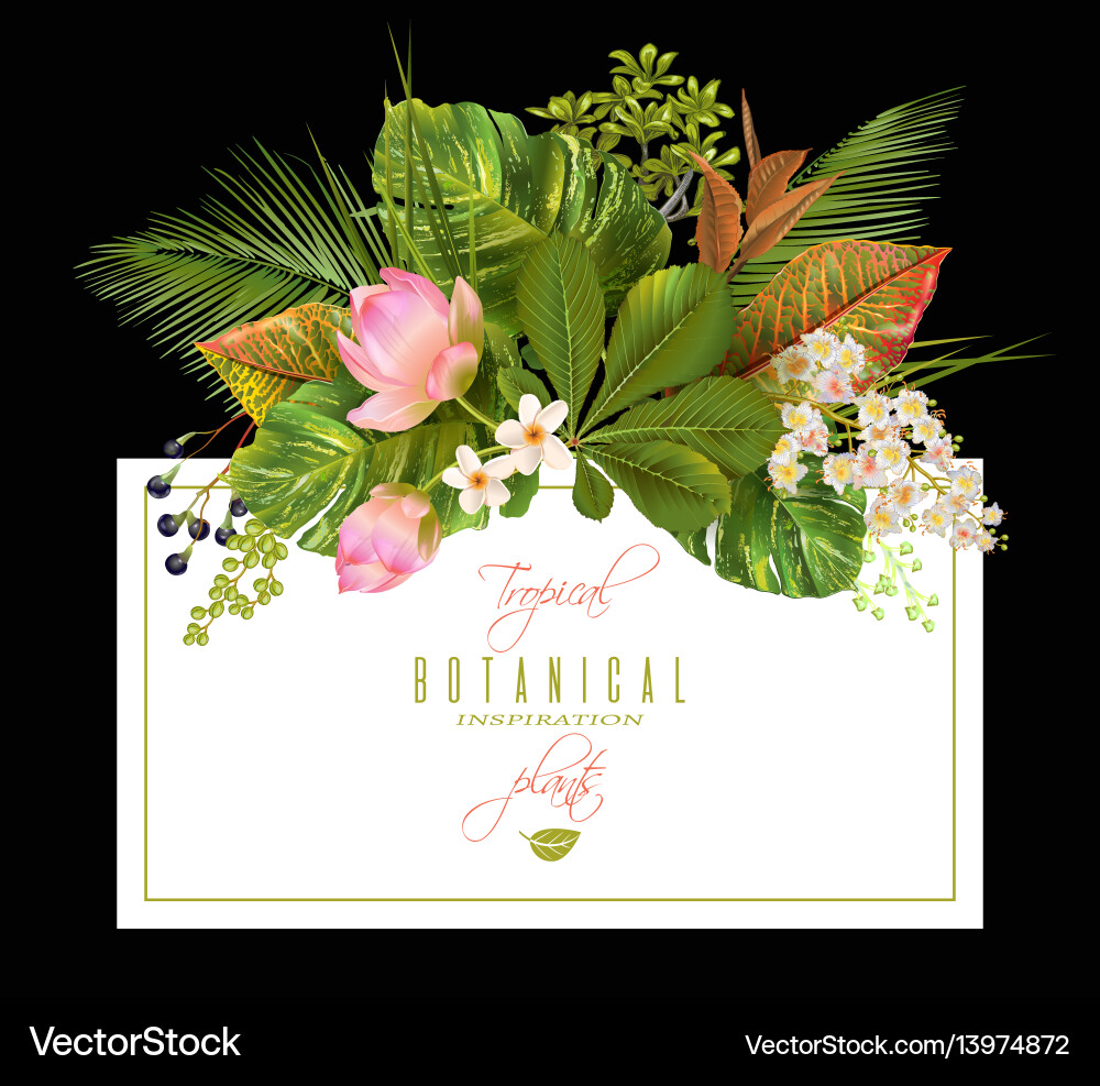 Tropical Floral Banner Royalty Free Vector Image