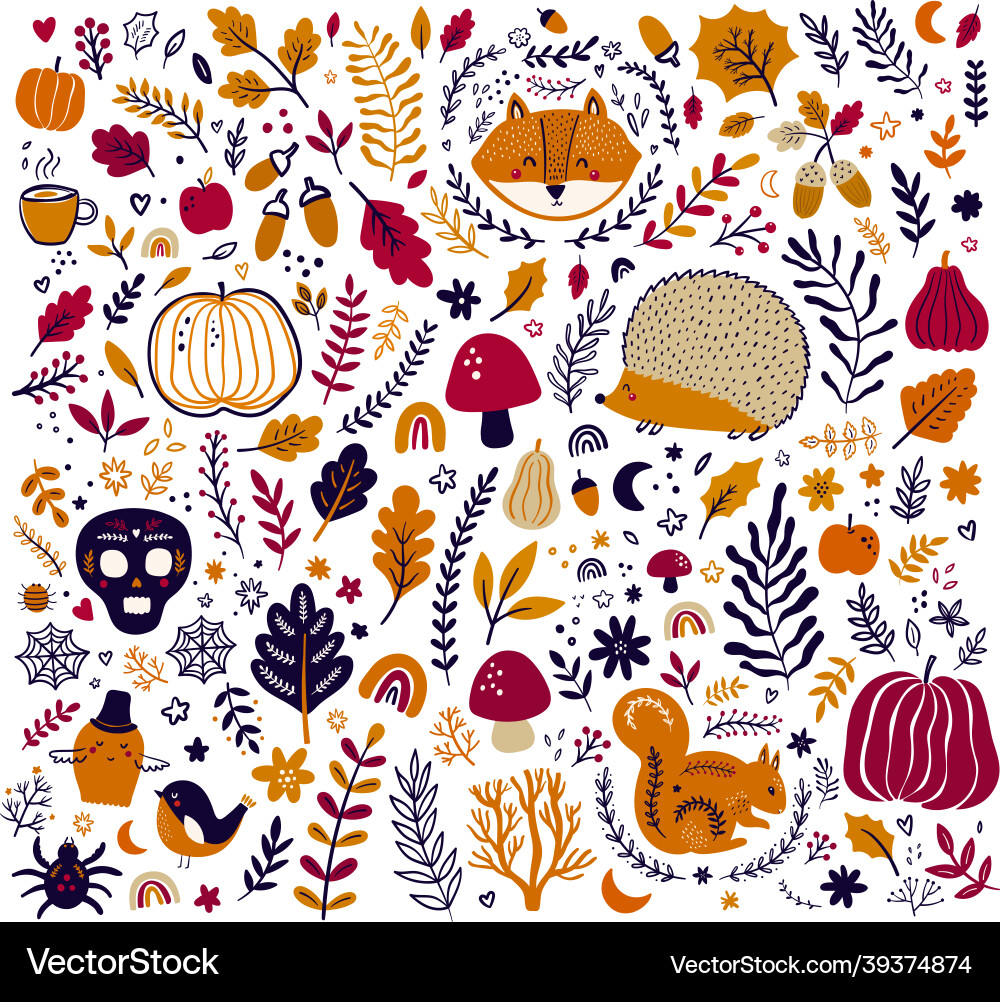 Autumn collection Royalty Free Vector Image - VectorStock