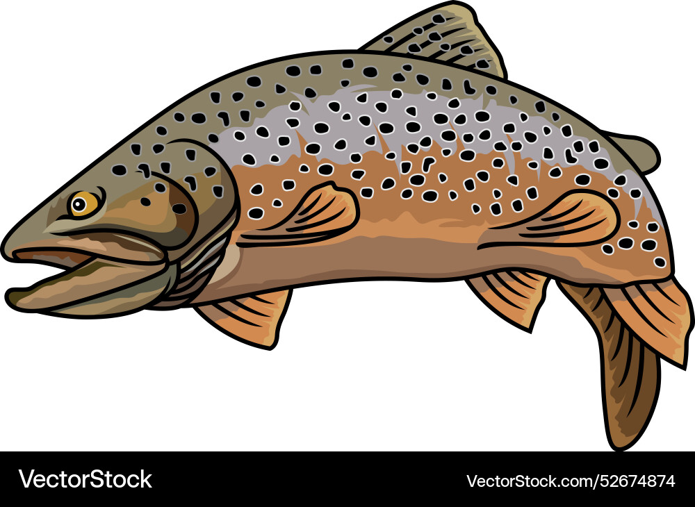 Brown trout fishing logo image Royalty Free Vector Image