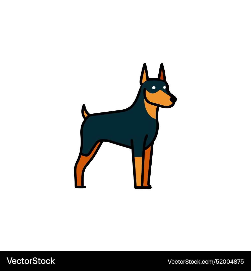 Doberman pinscher dog looks icon Royalty Free Vector Image