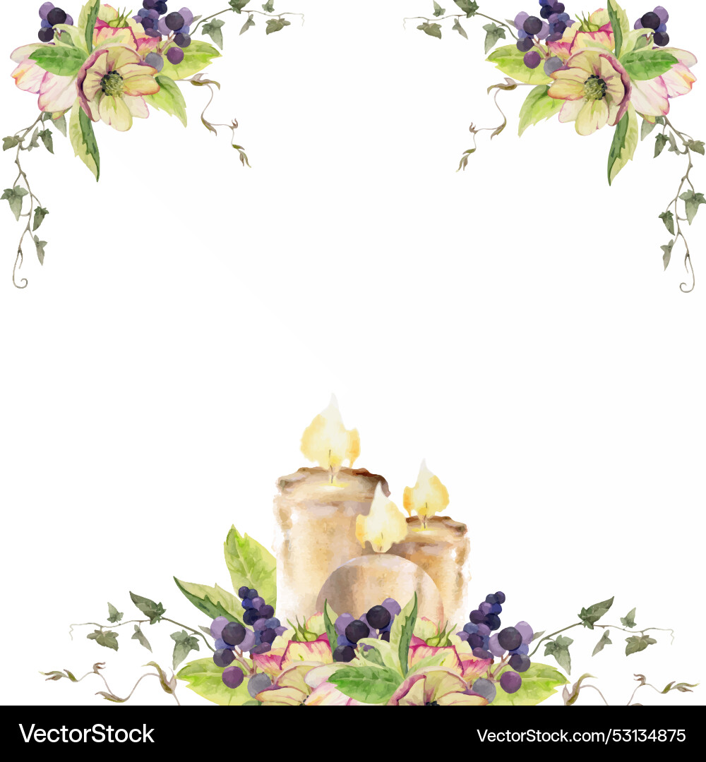 Hellebore flower ivy vine tendrils black berries Vector Image