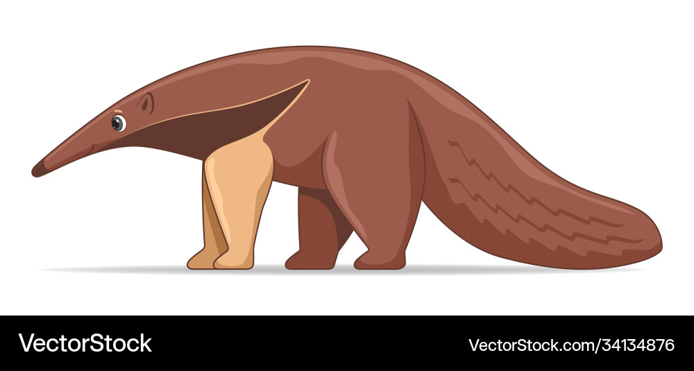 Giant anteater standing on a white background Vector Image
