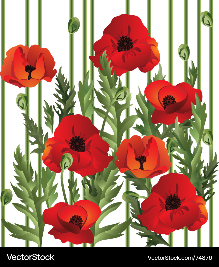Poppies Royalty Free Vector Image - VectorStock