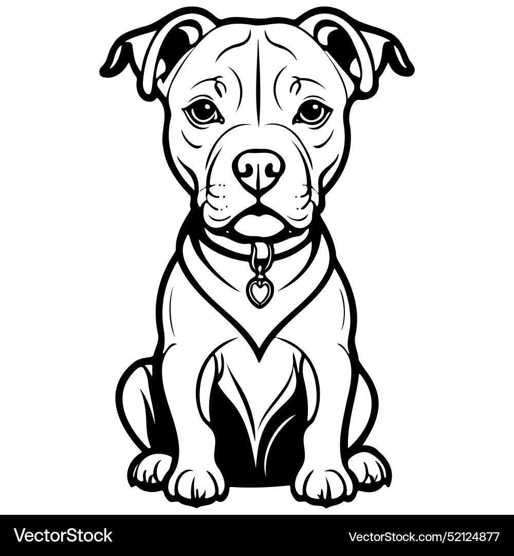 Cartoon pitbull monochrome outline drawing Vector Image