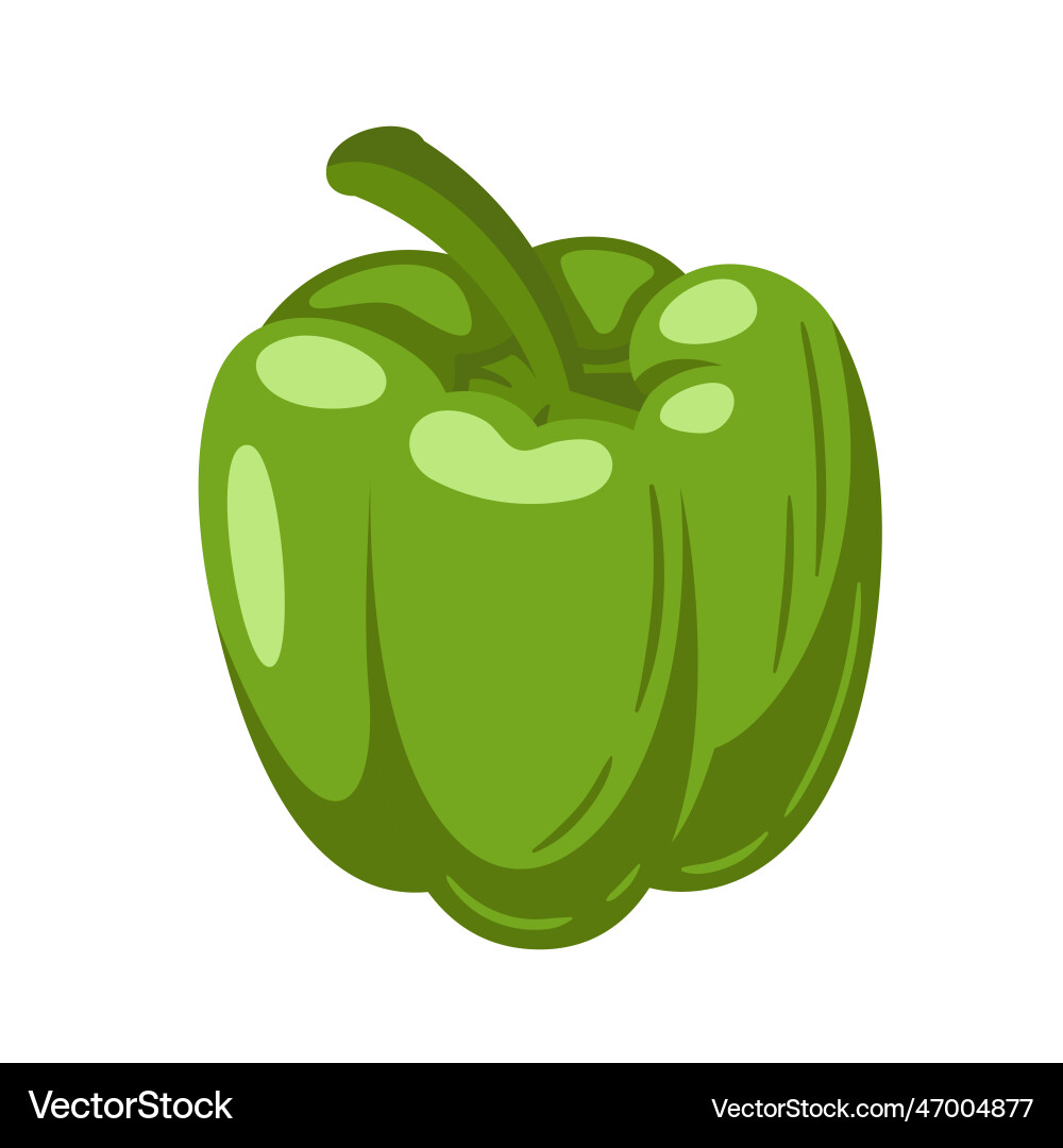 Sweet green bell pepper Royalty Free Vector Image