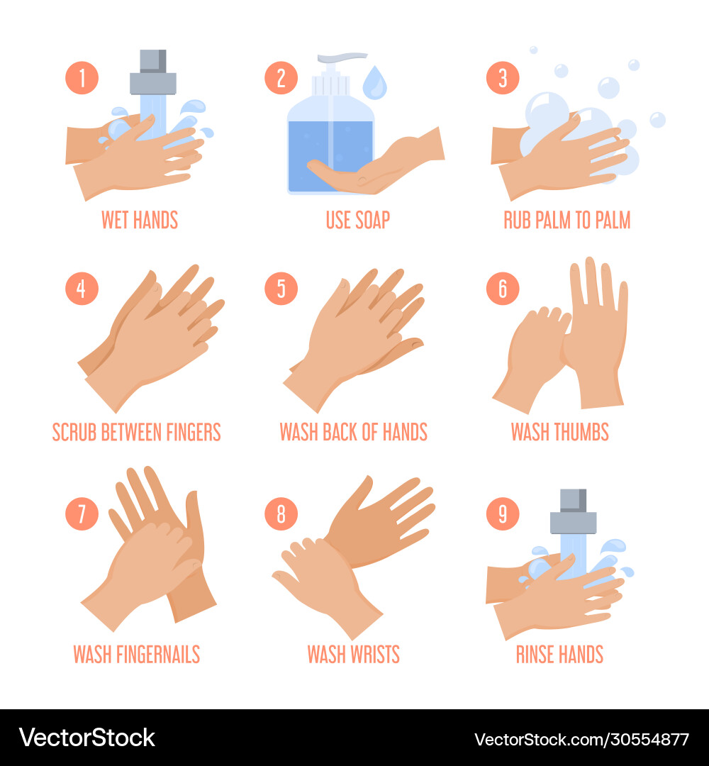 Wash Hands Guide - Hygiene Steps Royalty Free Vector Image