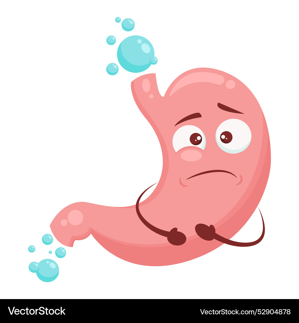 Bloated cartoon stomach character Royalty Free Vector Image