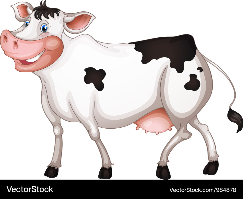 Dairy cow Royalty Free Vector Image - VectorStock