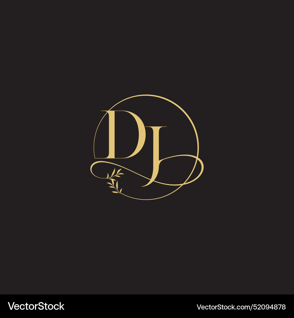 Luxury concept dj circle and organic style Vector Image