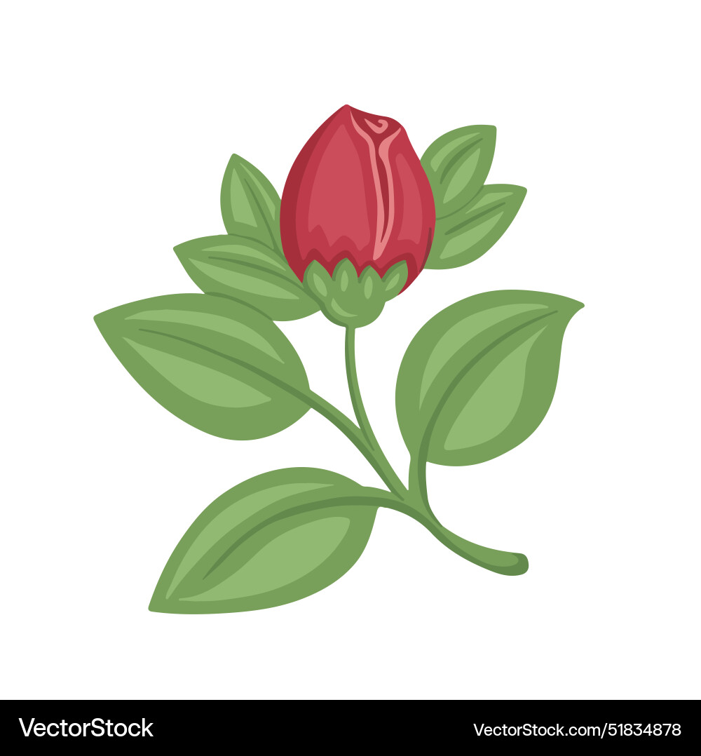 Tulip color symbol Royalty Free Vector Image - VectorStock