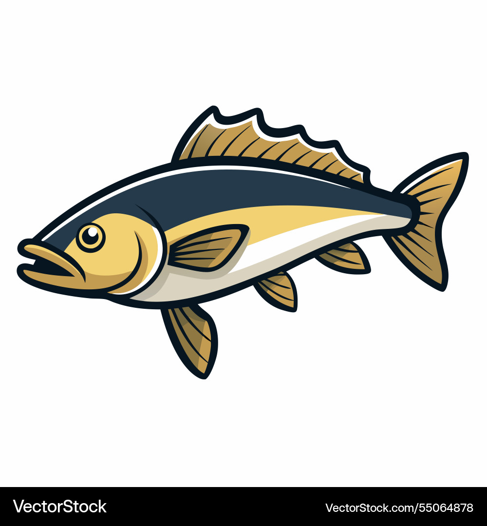 Walleye fish isolated flat on white background Vector Image