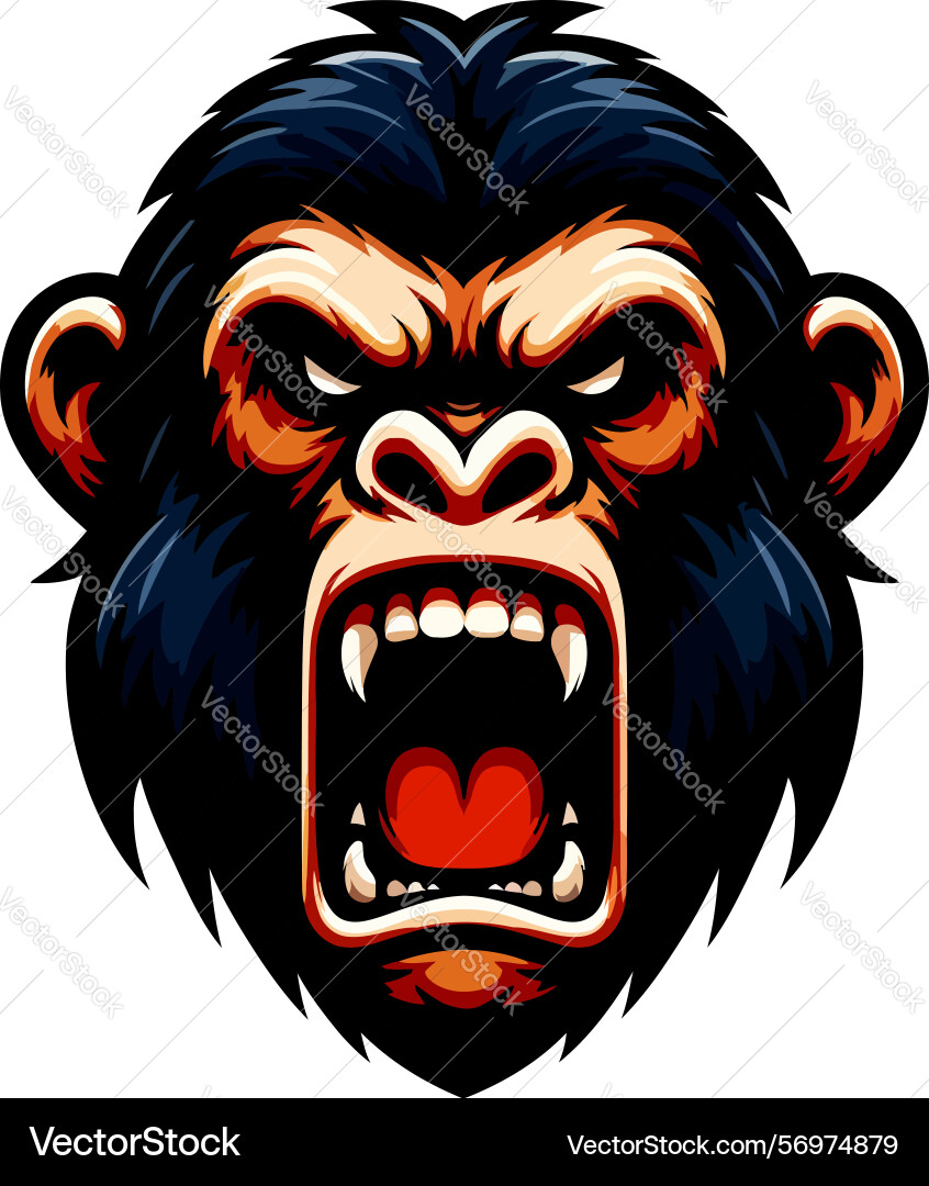 Aggressive chimpanzee portrait a powerful o Vector Image