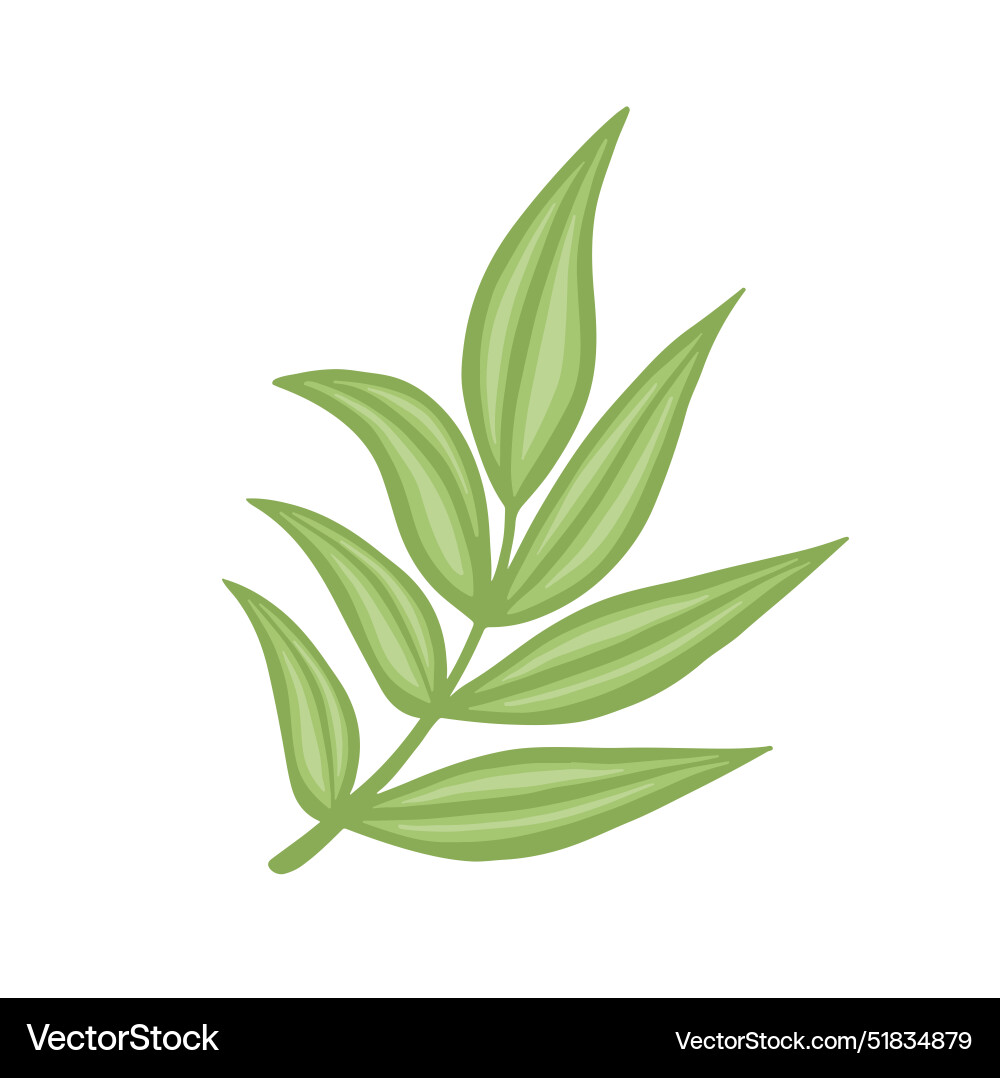 Colored plant leaf Royalty Free Vector Image - VectorStock