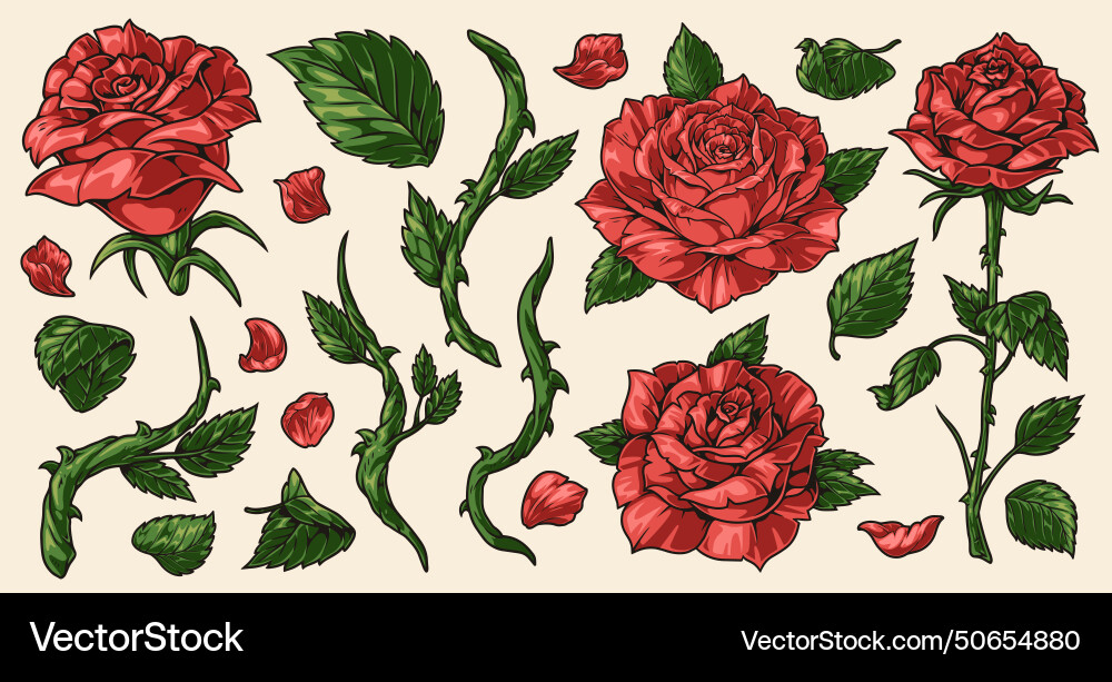 Flower rose set stickers colorful Royalty Free Vector Image