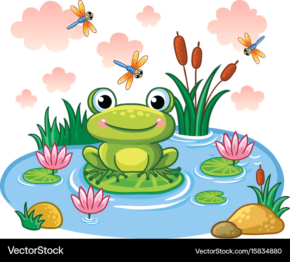 Frog sits on a leaf in the pond Royalty Free Vector Image