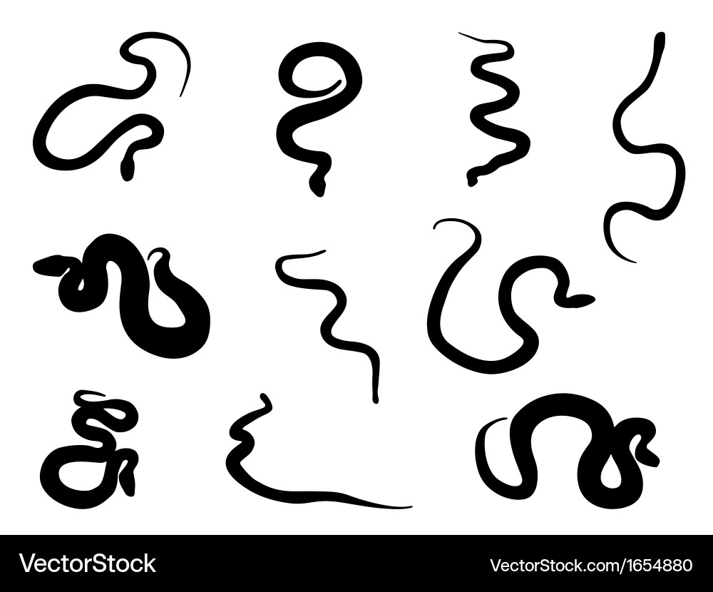 Snakes Vector Images (over 66,000)