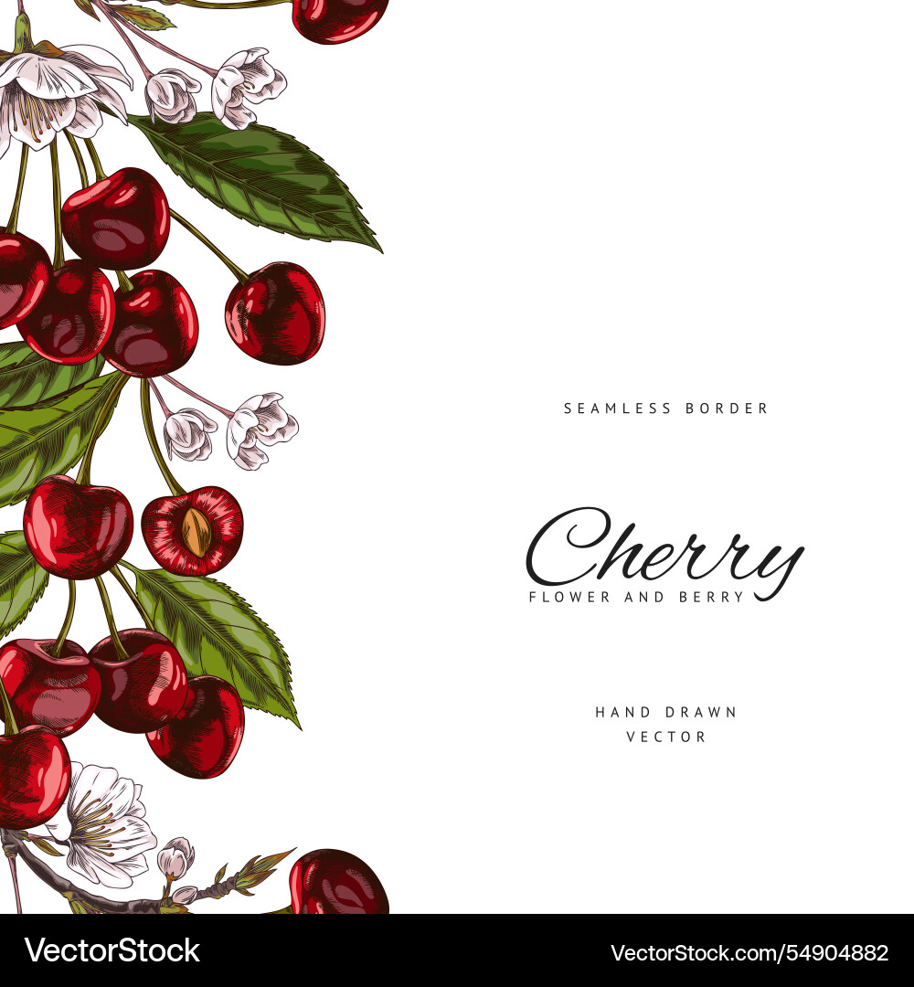 Border with red cherry berries white Royalty Free Vector