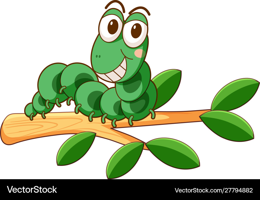 Caterpillar on white background Royalty Free Vector Image