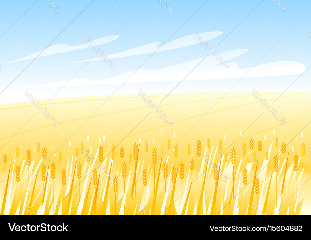 Wheat field landscape Royalty Free Vector Image