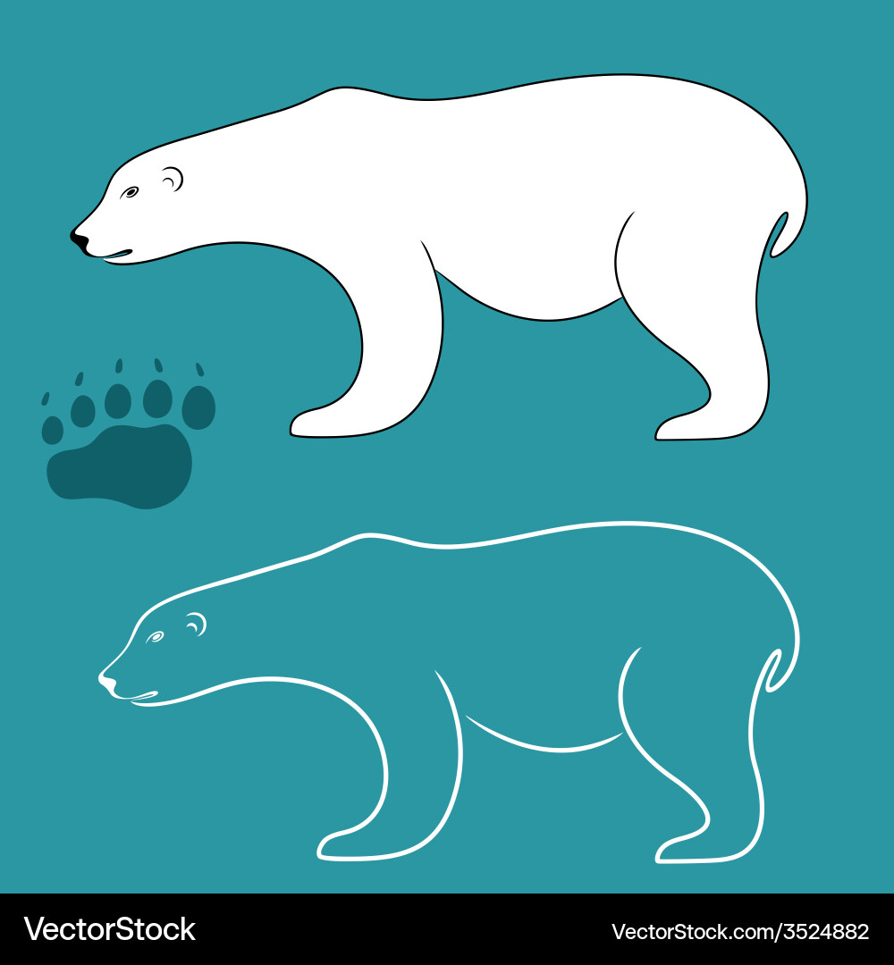 White bear Royalty Free Vector Image - VectorStock