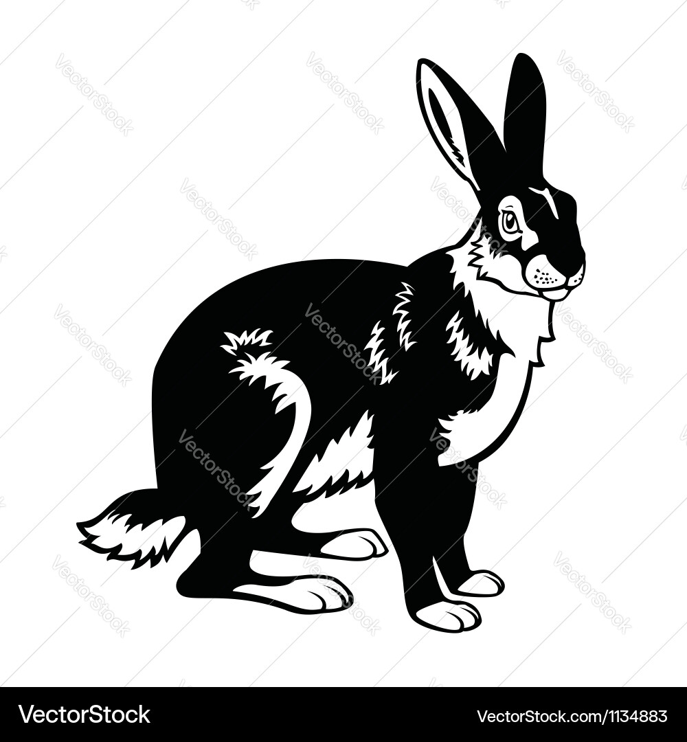 Black and White Hare Illustration Royalty Free Vector Image