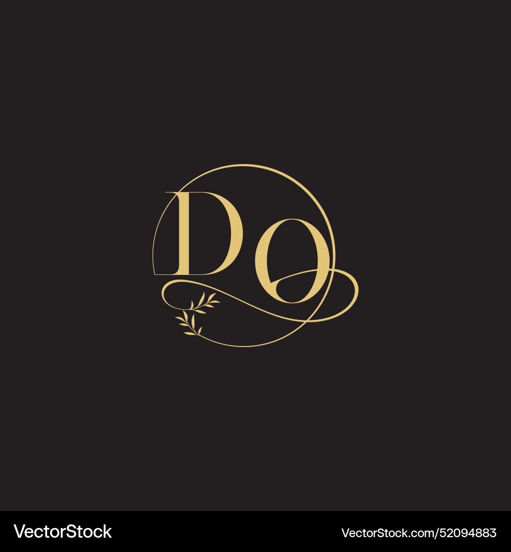 Luxury concept do circle and organic style Vector Image