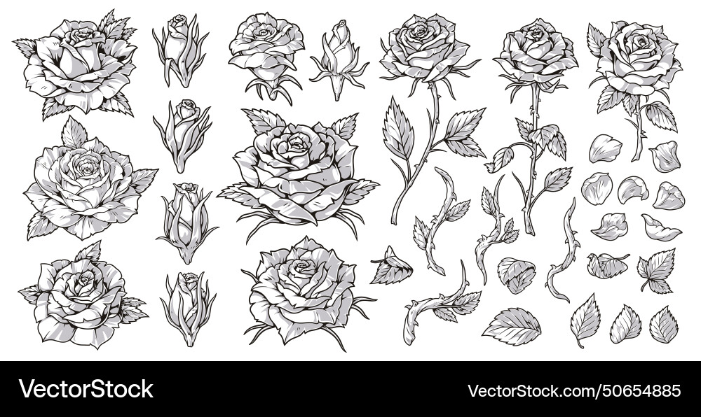 Roses Vector Images (over 290,000)