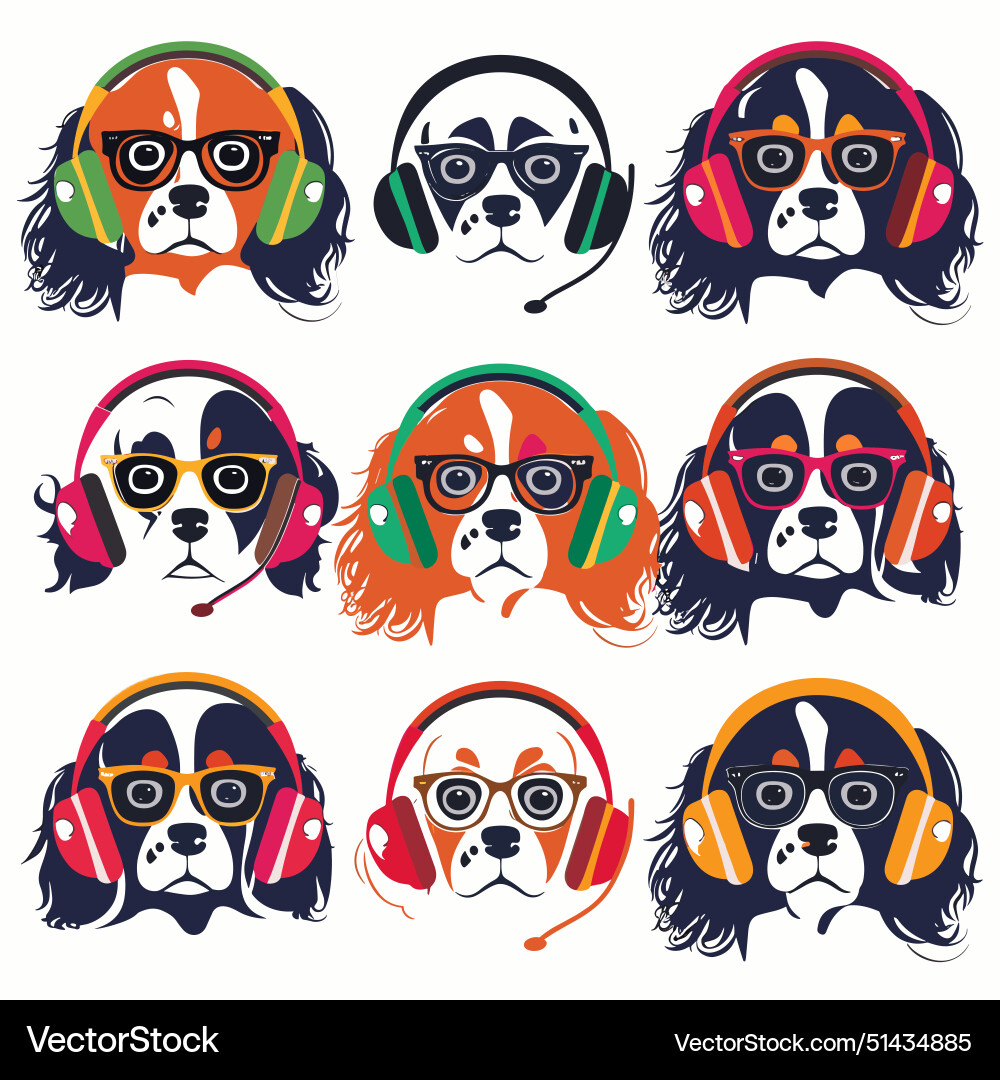 Collection colorful spaniel dogs wearing Vector Image