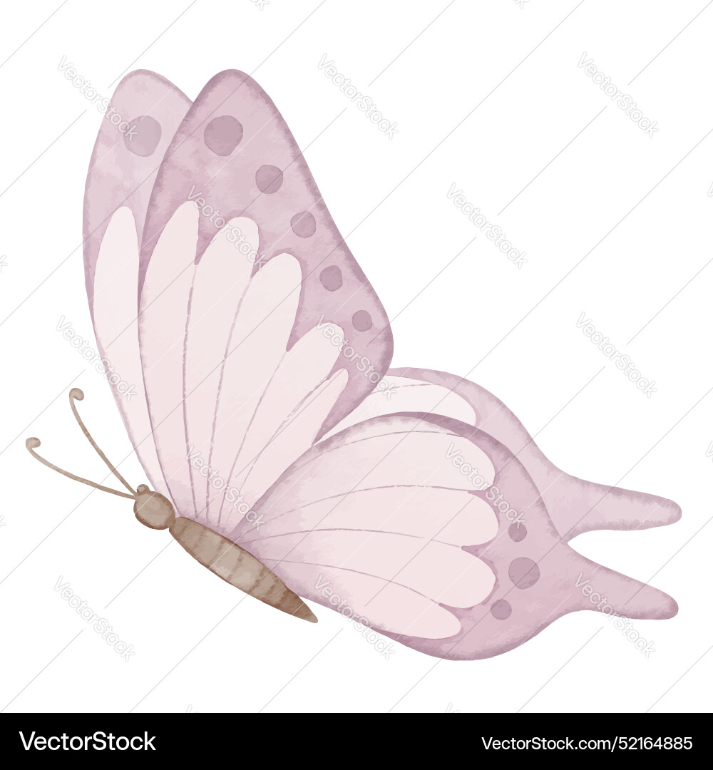 Pink butterfly watercolor drawing Royalty Free Vector Image