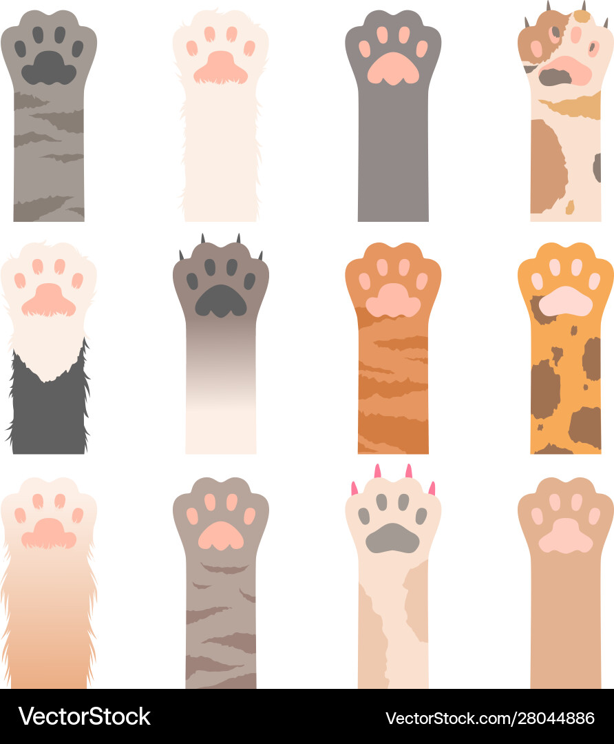 Cute Paw Prints of Cats Royalty Free Vector Image