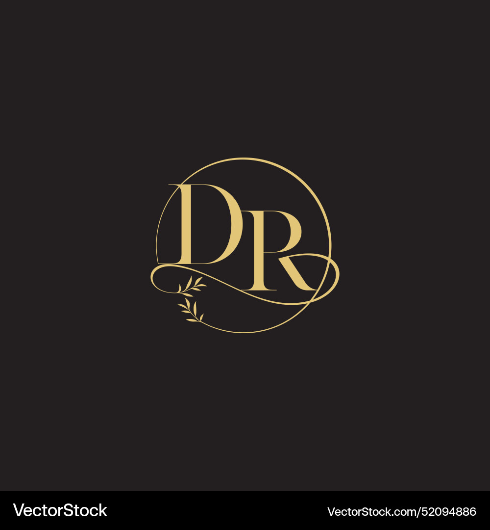 Luxury concept dr circle and organic style Vector Image