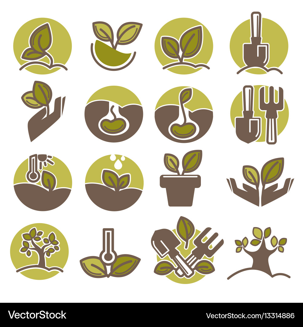Tree planting and growing process infographic Vector Image