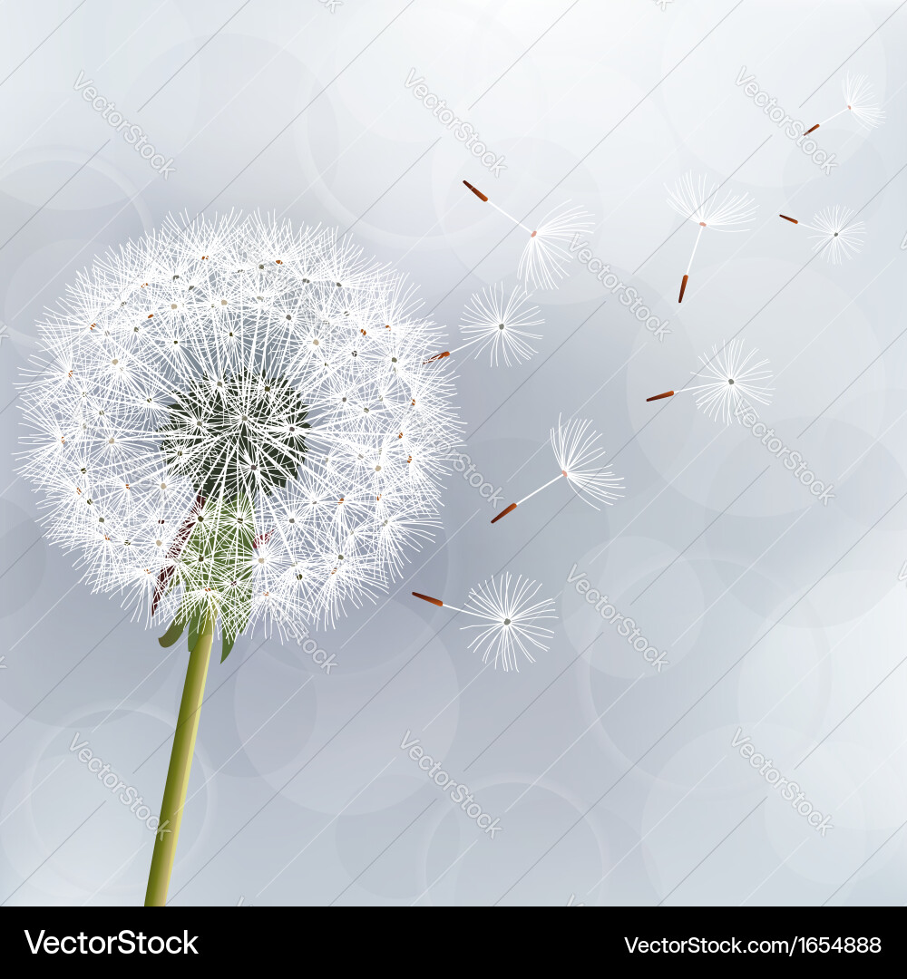 Floral Dandelion Wallpaper Royalty Free Vector Image
