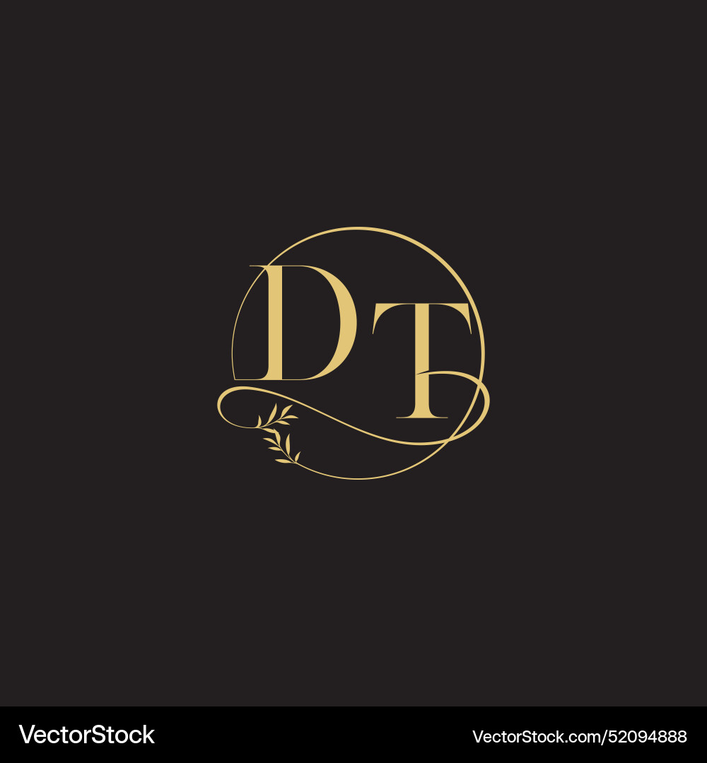 Luxury concept dt circle and organic style Vector Image