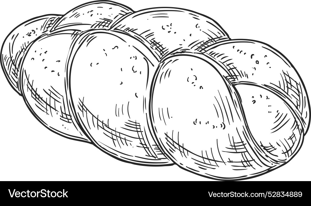 Braided bun engraving challah homemade bread Vector Image
