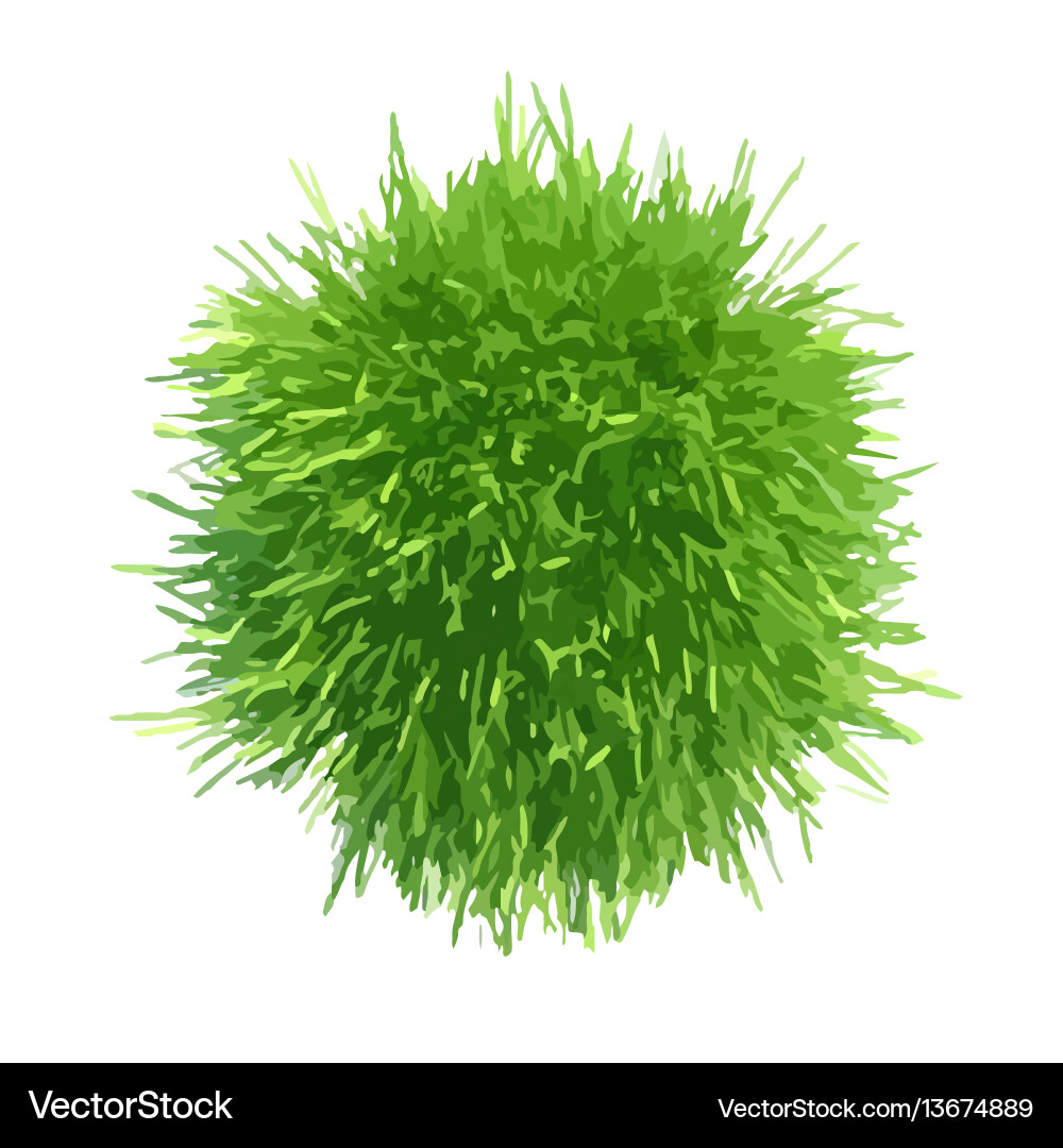 Fresh green grass piece Royalty Free Vector Image