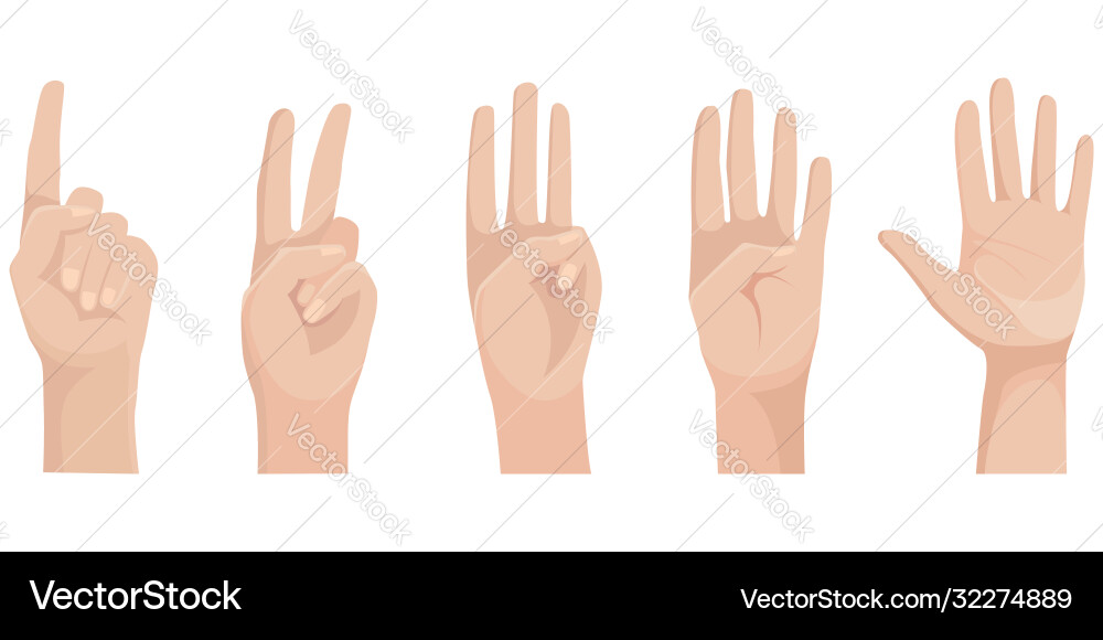 Set human hands with raised up fingers Royalty Free Vector