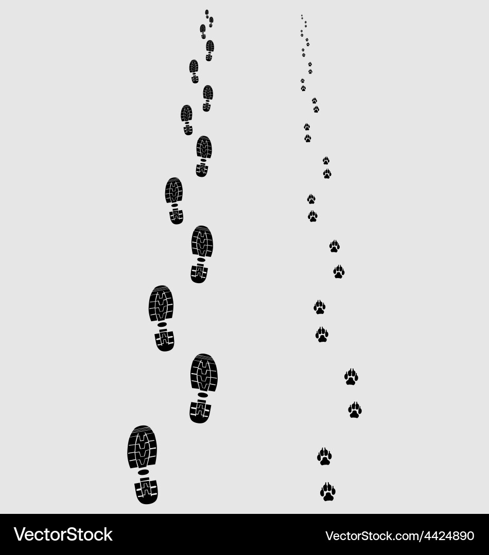 Footprints Royalty Free Vector Image - VectorStock