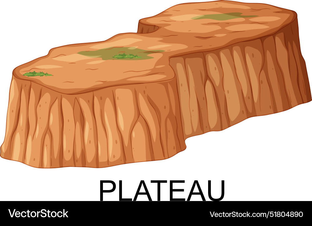 Image of a plateau with vegetation Royalty Free Vector Image