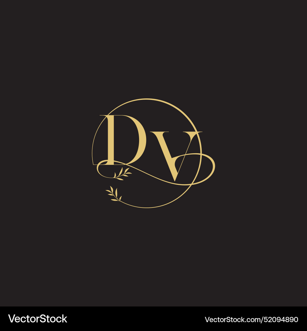 Luxury concept dv circle and organic style Vector Image
