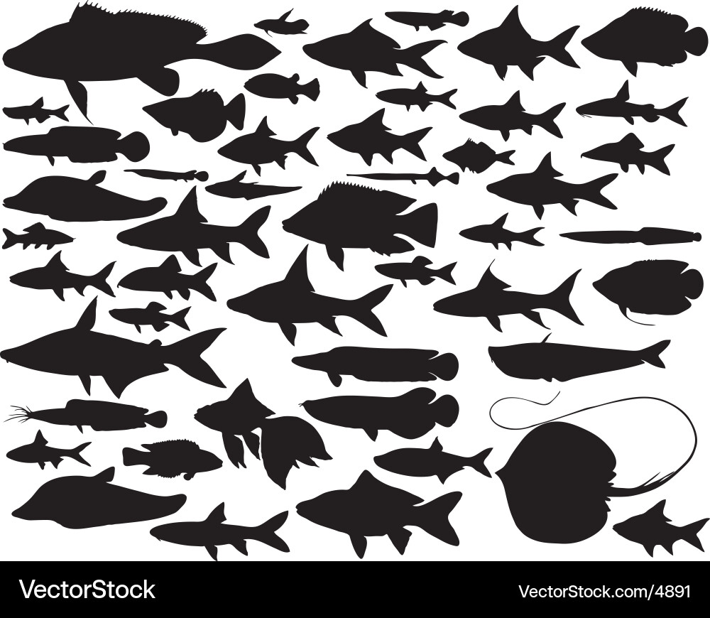 Catfish Outline Vector Images (over 1,000)