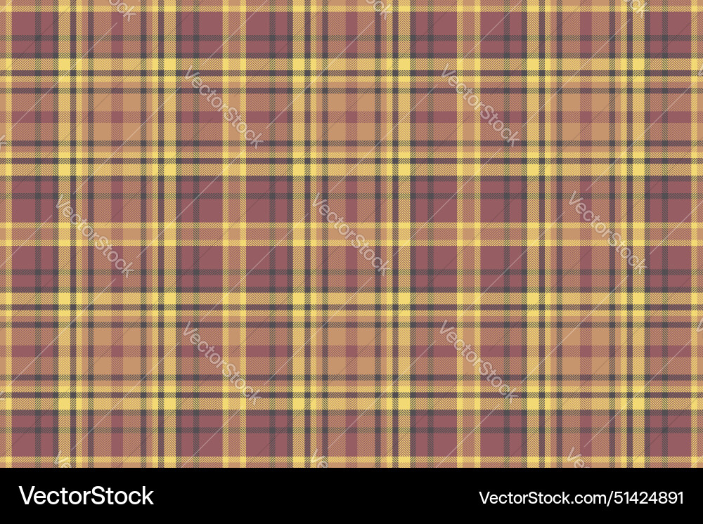 Plaid texture textile of background check Vector Image