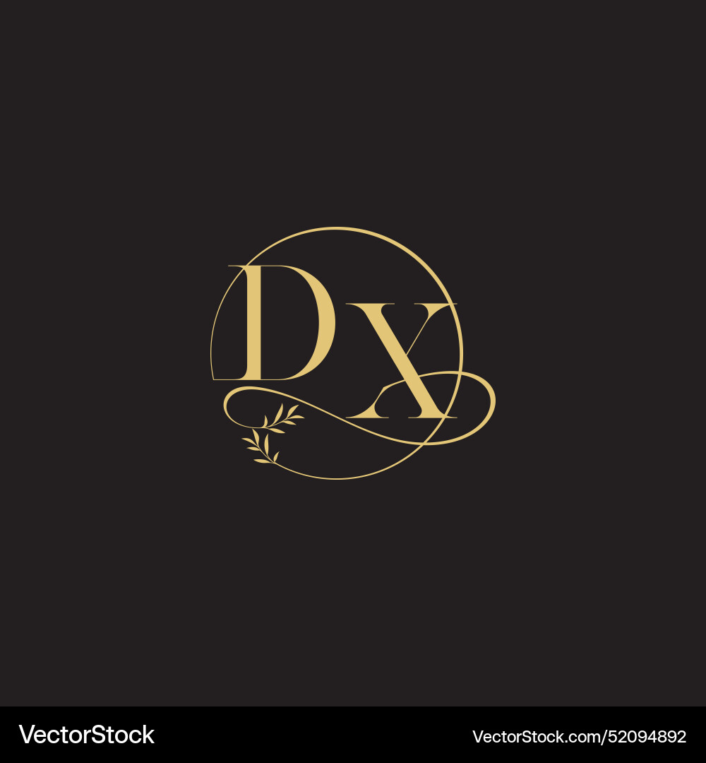 Luxury concept dx circle and organic style Vector Image
