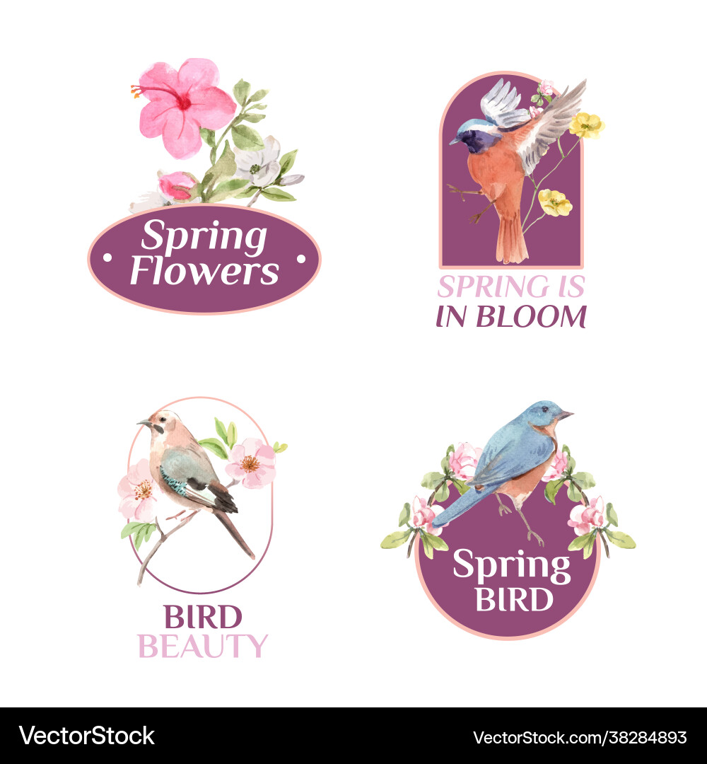 Logo design with spring and bird concept Vector Image