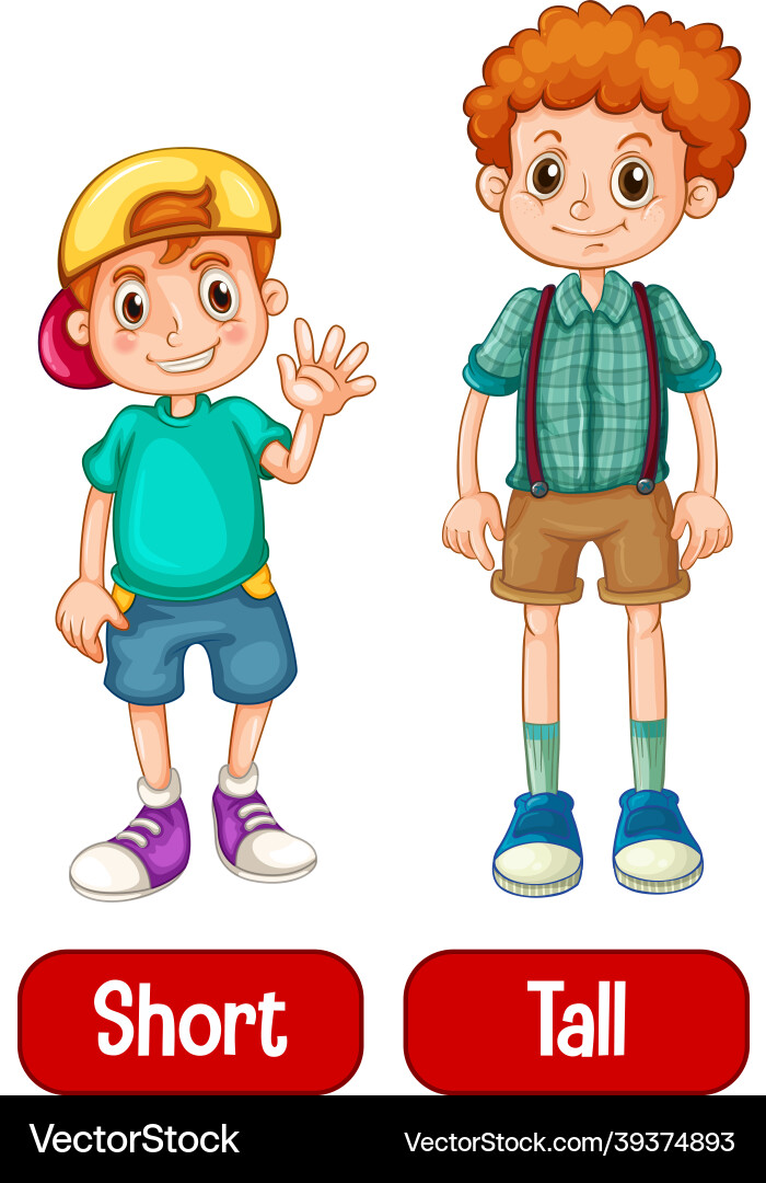 Opposite adjectives words with short and tall Vector Image
