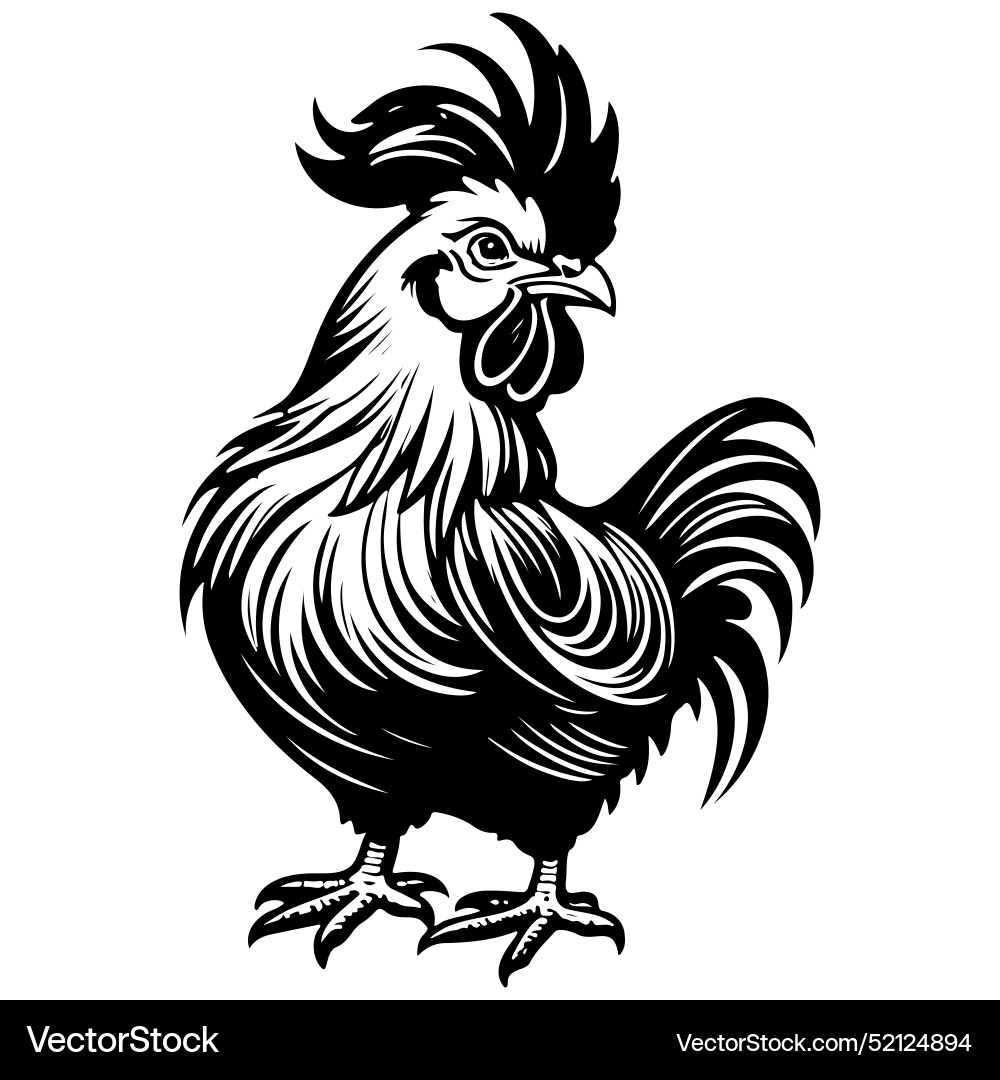Cartoon rooster engrave hand drawn line Royalty Free Vector