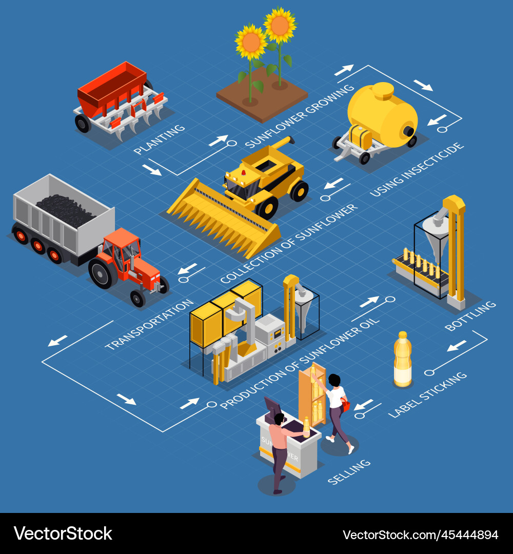 Sunflower products isometric flowchart Royalty Free Vector