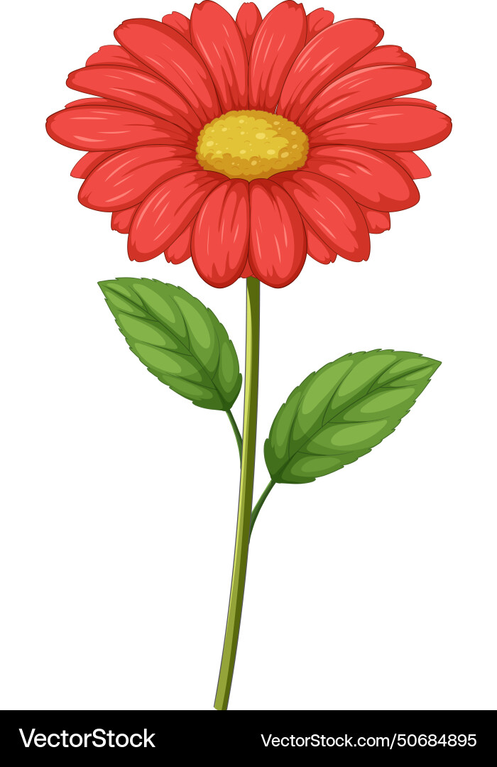 A bright red daisy with green leaves Royalty Free Vector
