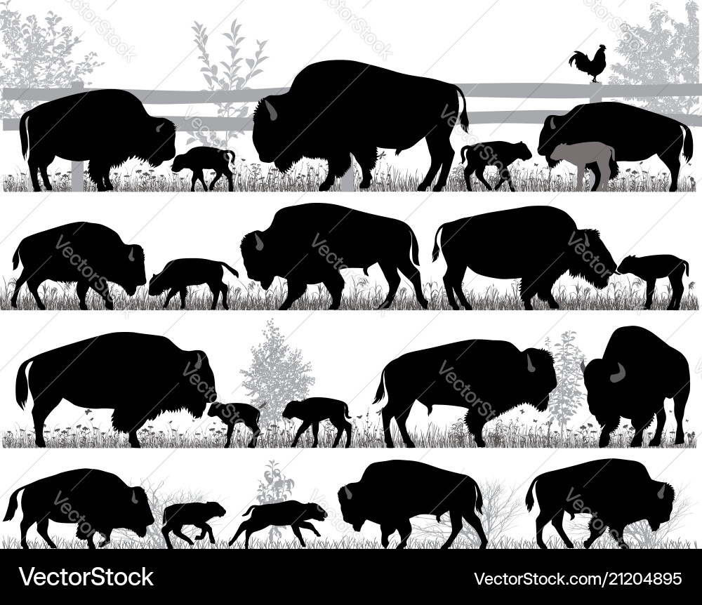 Bison Vector Images (over 13,000)